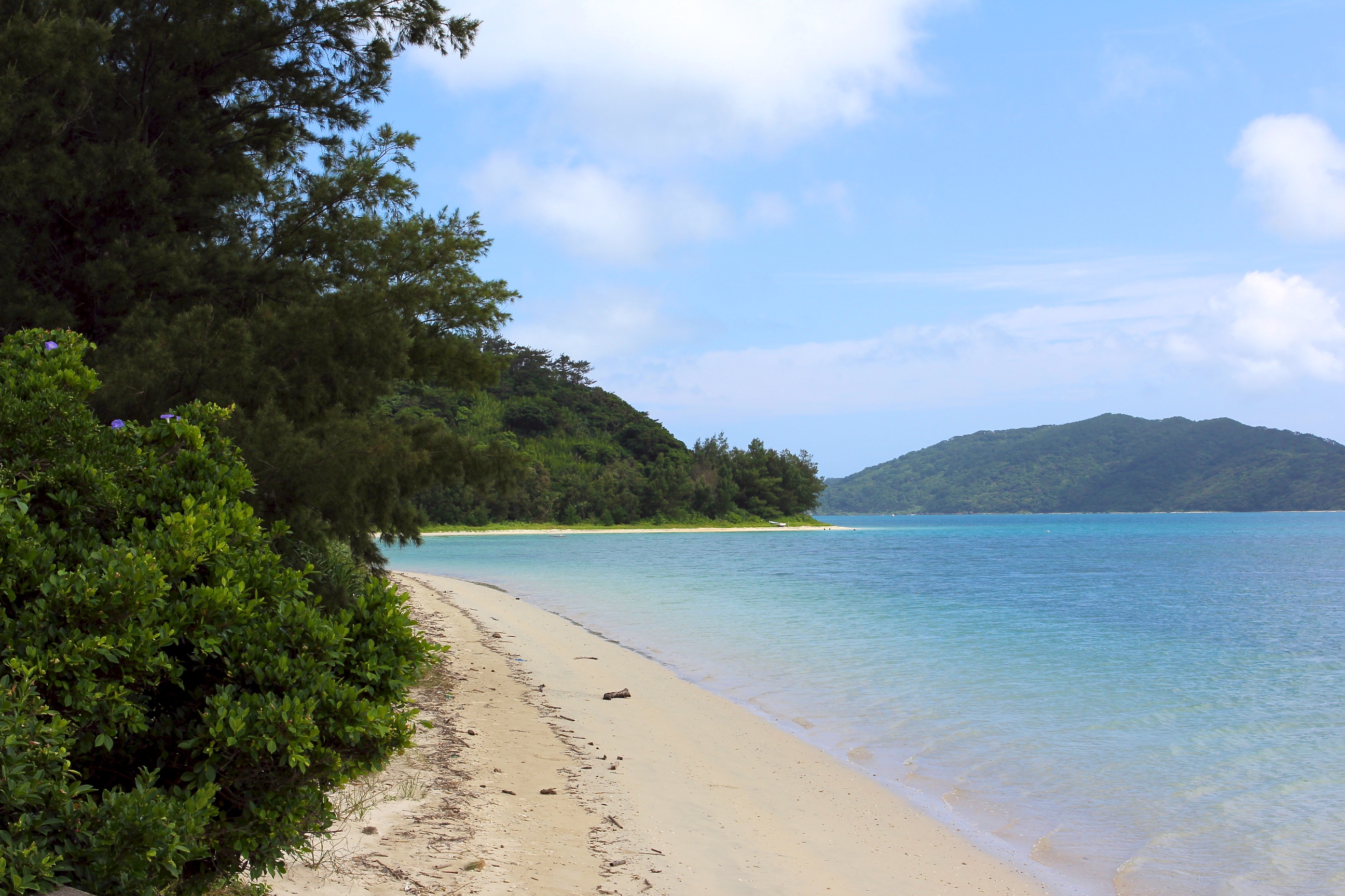 Sakibaru Beach, Japan – Albert Bliss
